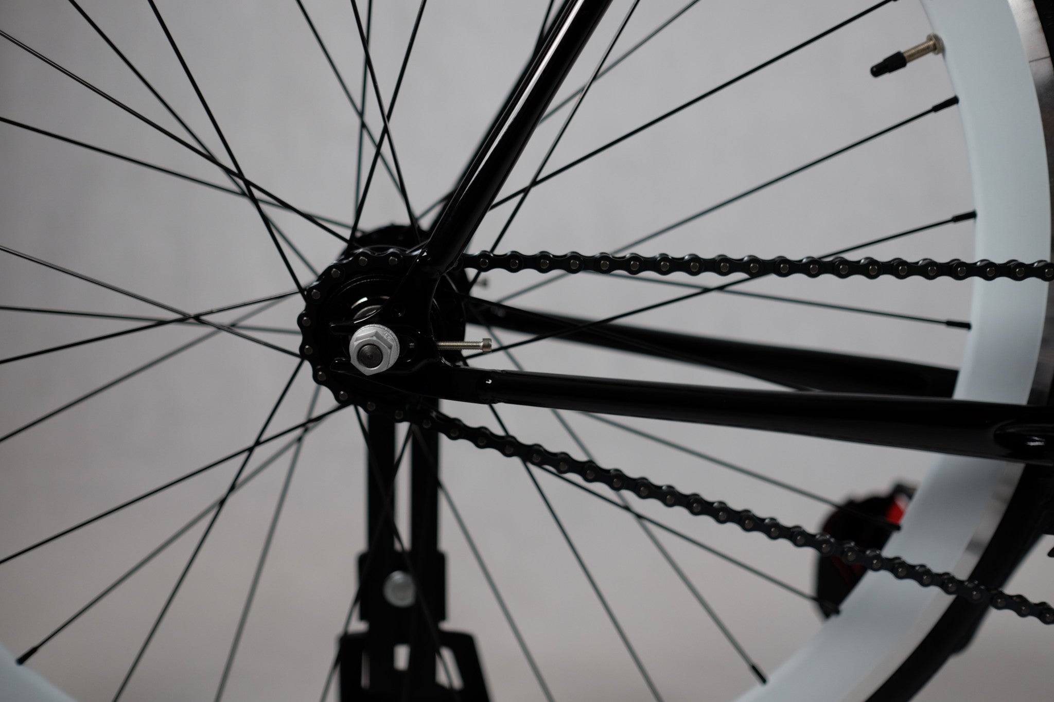 White 40 mm Deep V Wheelset Incl. Tires – Regal Bicycles Inc.